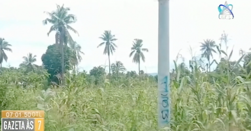 MAP Covalima Identifika Plantasaun Hetan Estragus | RTTL