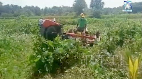 MAP Ho FAO Lansa Konservasaun Agrikultura Iha Natarbora | RTTL