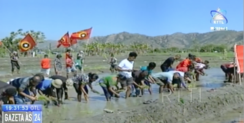 UNIJMA Ativista Pro RDTL Kuda Hare Iha Suku Hera | RTTL