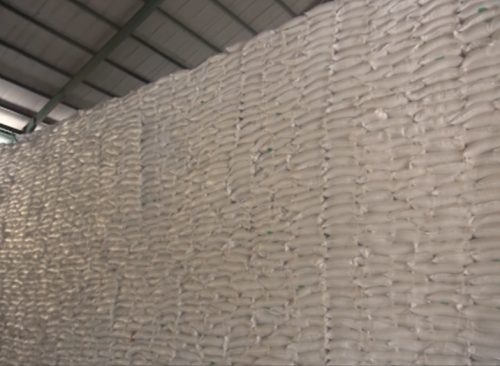 CLN Iha Stock Foos No Hare Kulit | RTTL